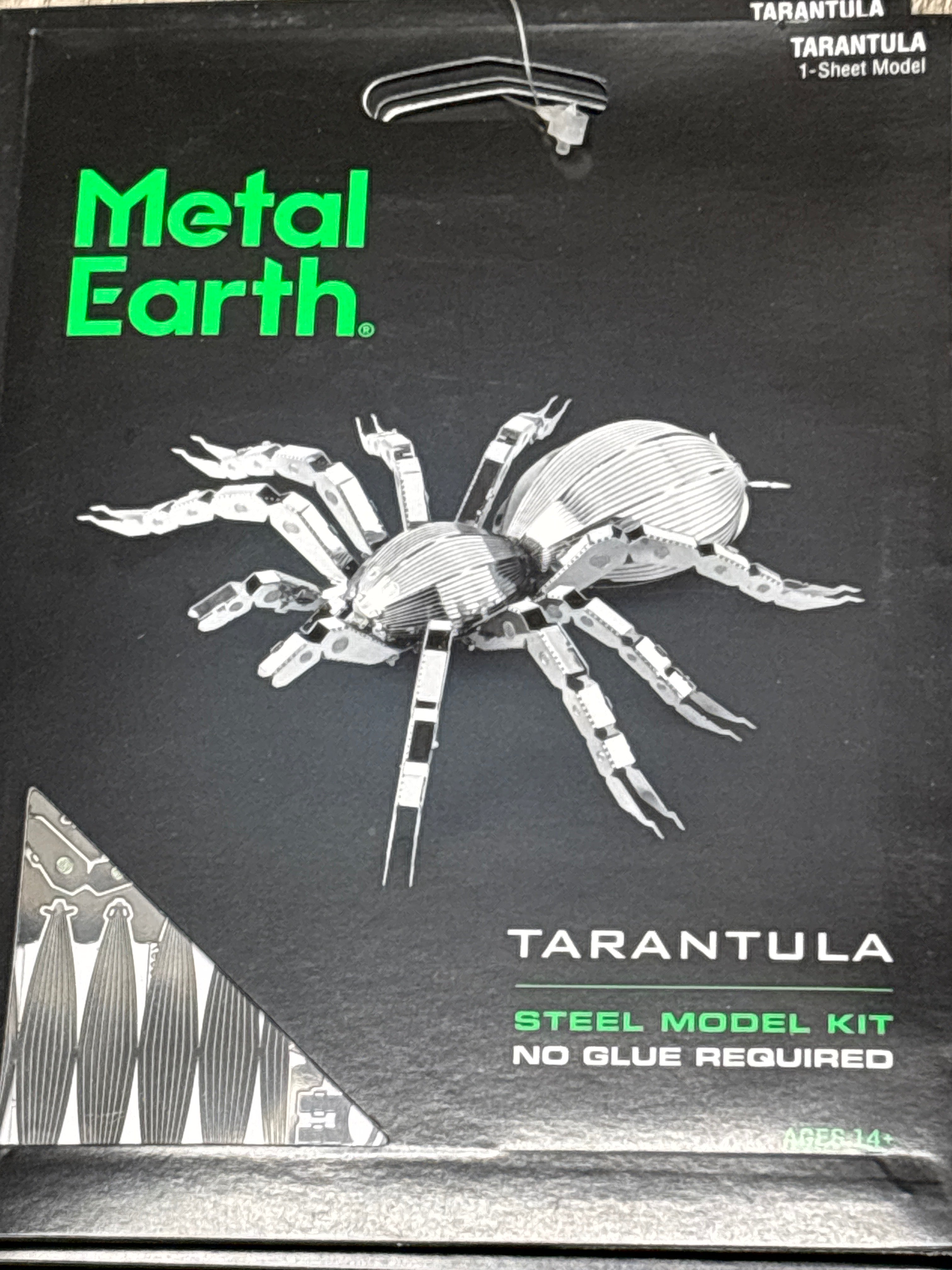 Tarantula spider – The Creep Inn Family